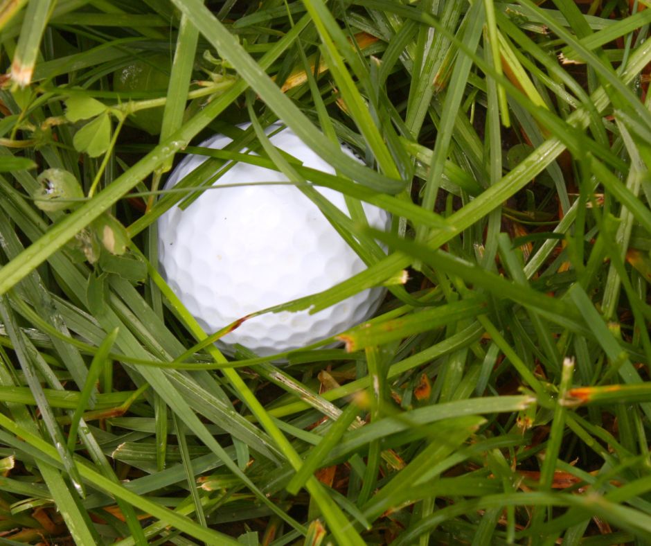 Golf Balls: Finding Lost Golf Balls on the Course - Senior Golf Tips ...